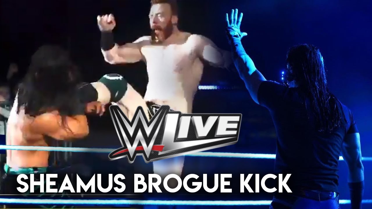 Sheamus Brogue Kick to Ali What Happen WWE Live Event at Chattanooga ...