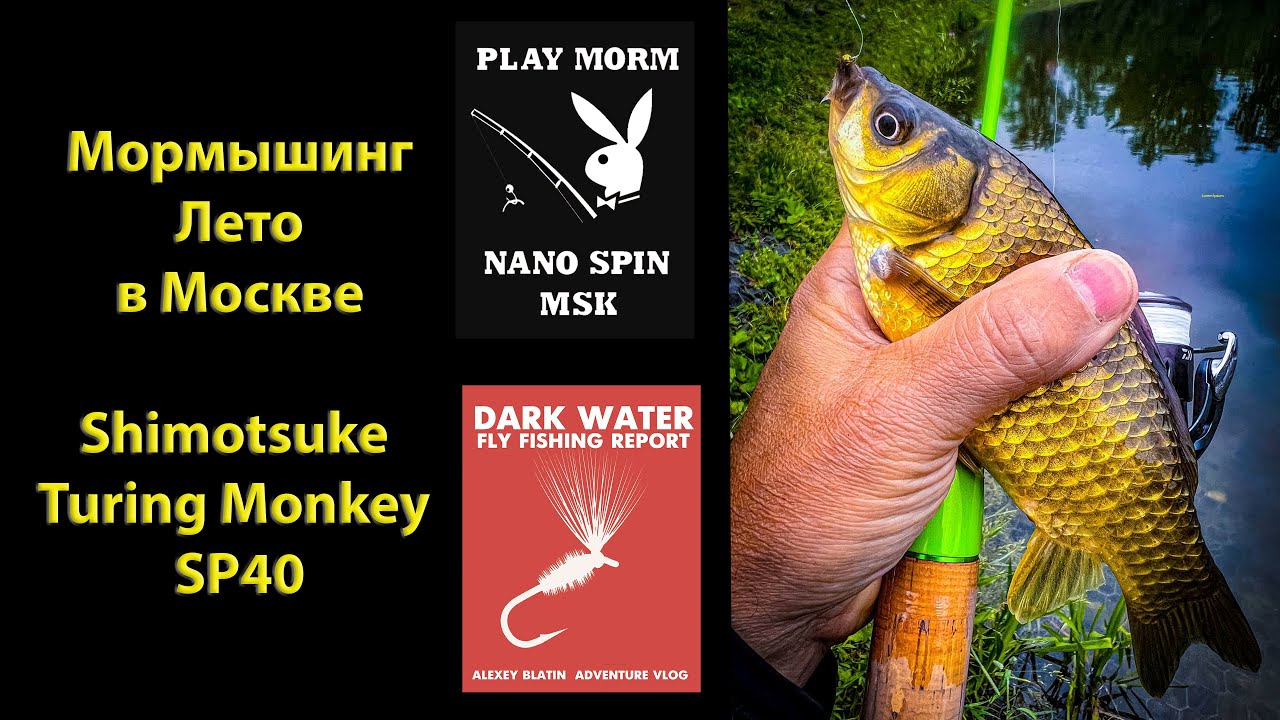 Мормышинг. Лето в Москве. Shimotsuke Turing Monkey SP40. - YouTube