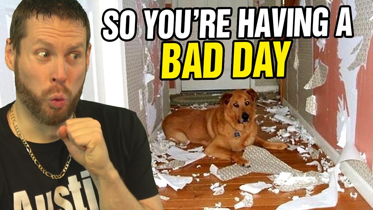 So You Had A Bad Day Meme
