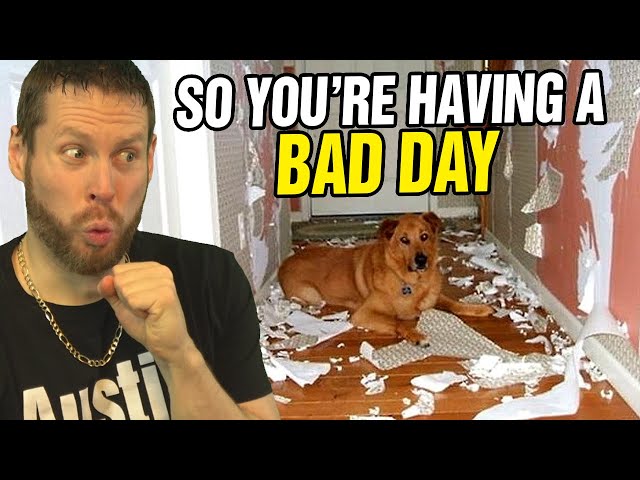 So You Had A Bad Day Meme