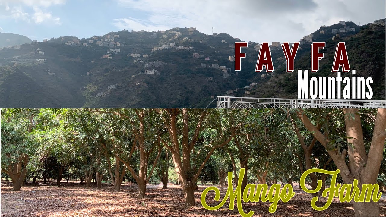 Fayfa Mountains/Mango Farm/Explore Saudi / Day 5 - YouTube