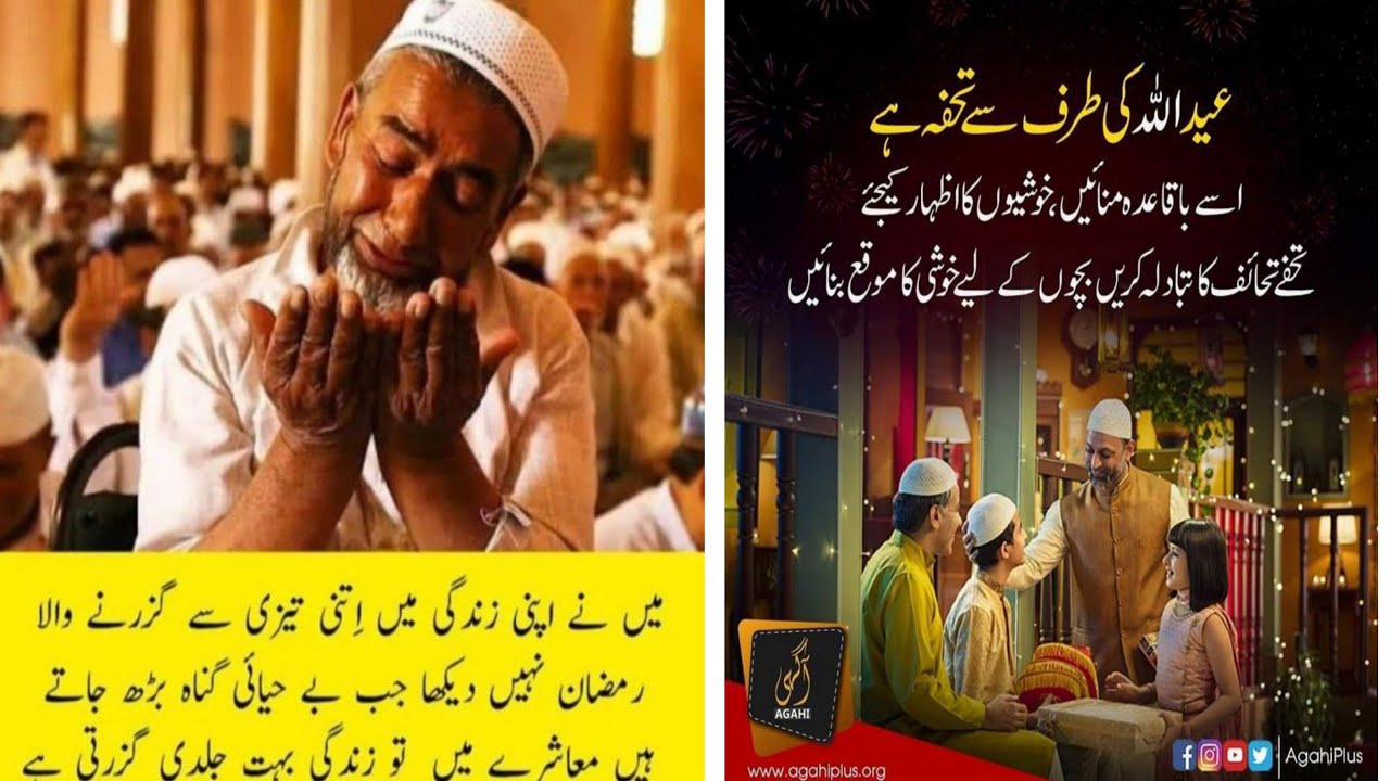 Urdu quotes😂😭😂😭😂😭 |aqwal e zareen new|gehri baten |deeni baatein|best ...