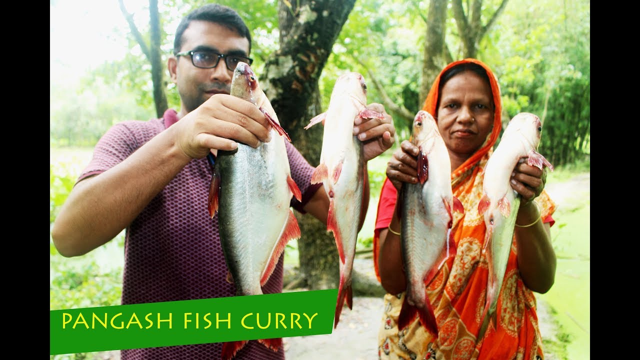Pangash fish and ash gourd curry recipe | Village food pangash mach ...