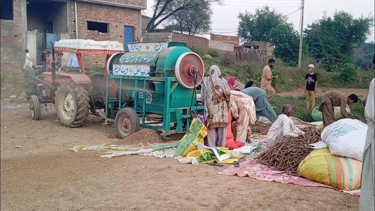 HOW FARMERS THRESH CROPS IN 1880,s| CROPS THRASHING #threshermachine # ...