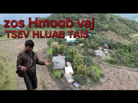 Mus Ncig Zos Hmoob Vaj Lub Tsev Zoo Li HLUAB TAIS Vaj Hloog”Pheej Xyooj ...