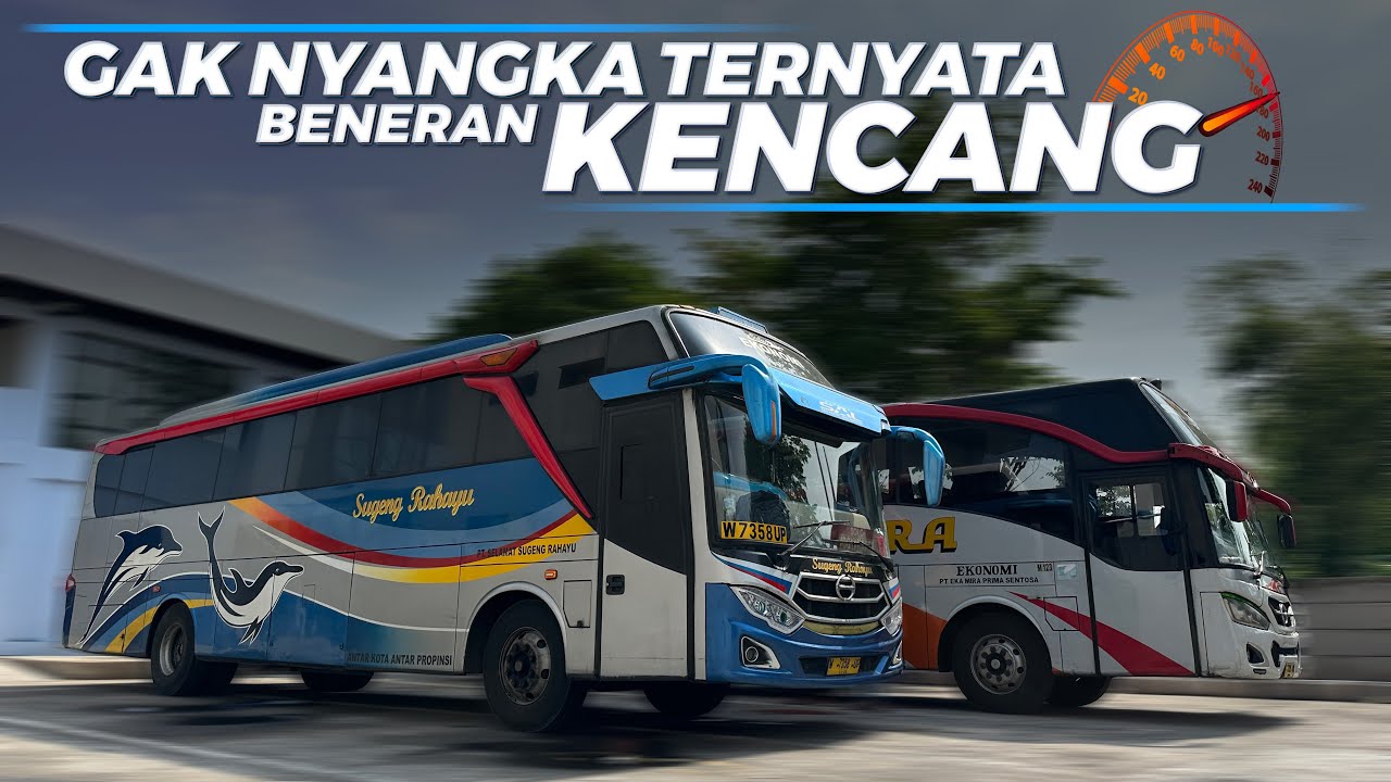 MAS ARKAN AKHIRNYA NAIK SUGENG RAHAYU‼️ Video Pertama Penumpang Biasa x ...