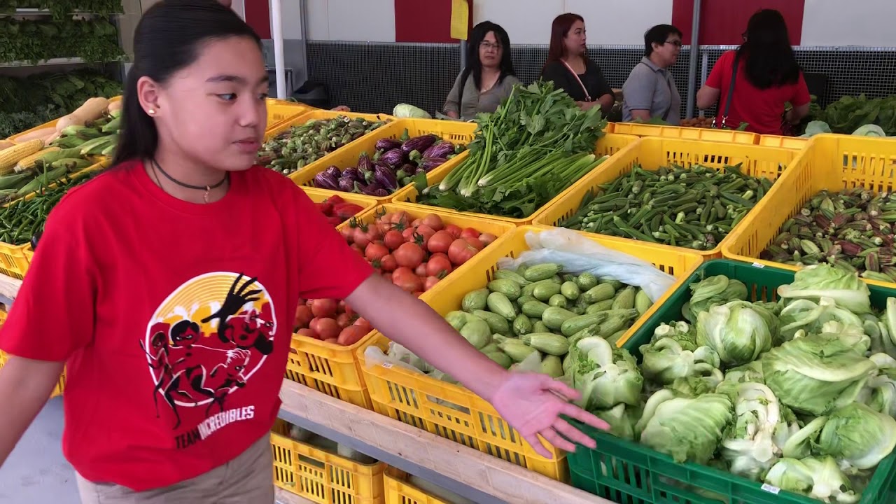 A visit at Emirates Bio Farm part 1! - YouTube