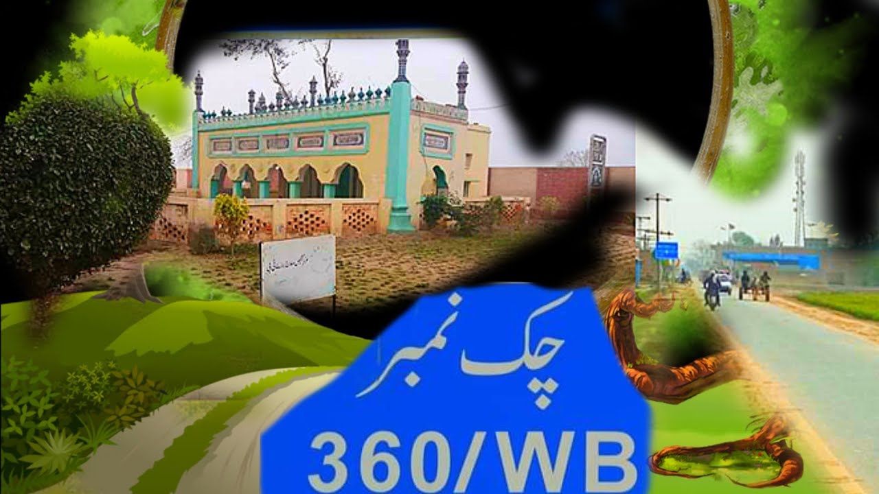 My village picture view // 7chak 360/wb // tehsil Dunyapur district ...