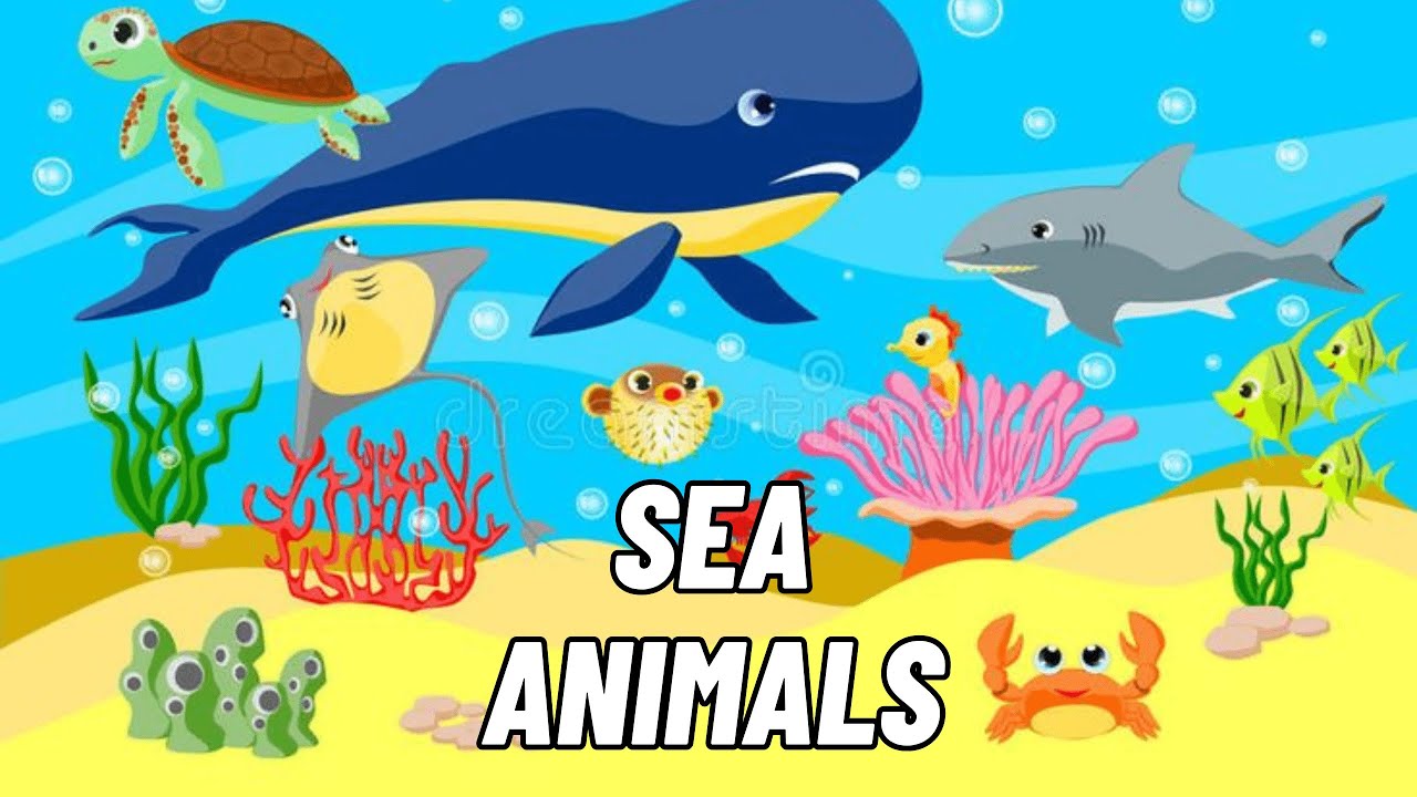 Exploring the Wonders of the Ocean - Fun Facts for Kids - YouTube