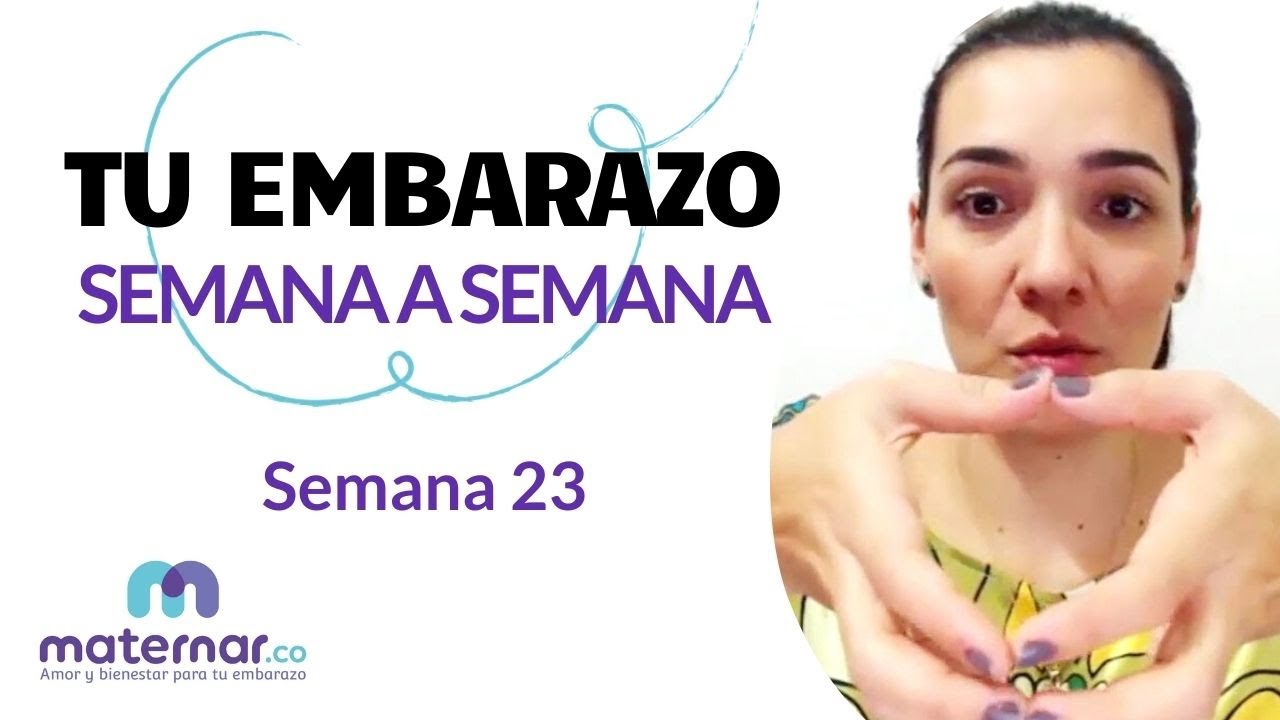 Semana 23 | Tu embarazo semana a semana | Maternar.co - YouTube
