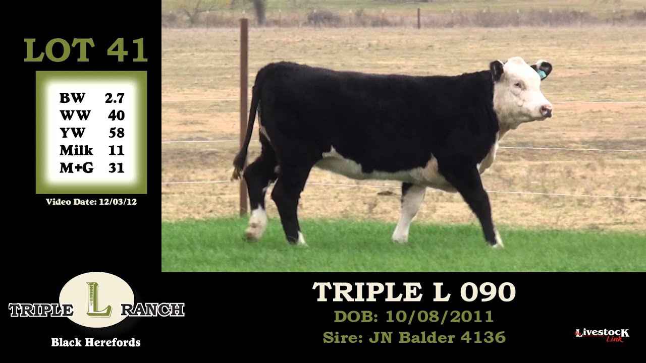 41 Blue 38 - YouTube