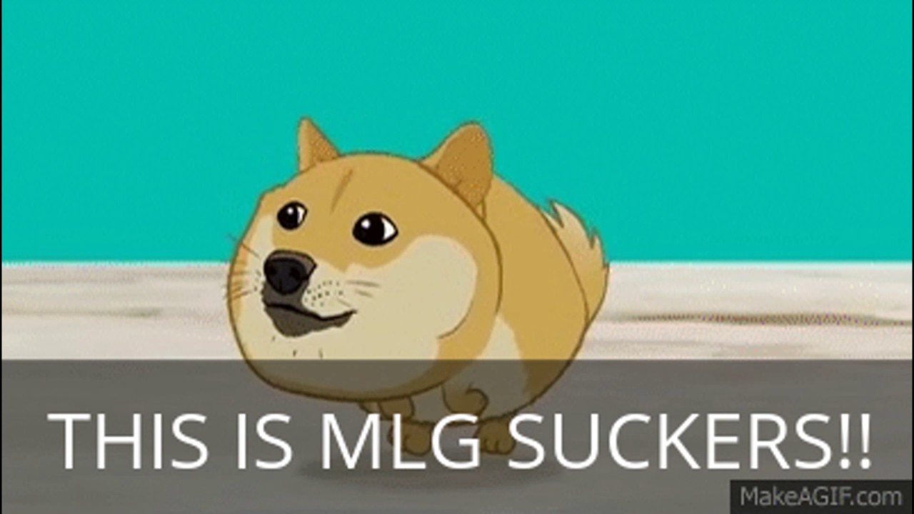 DOGE TV MADNESS!! - YouTube