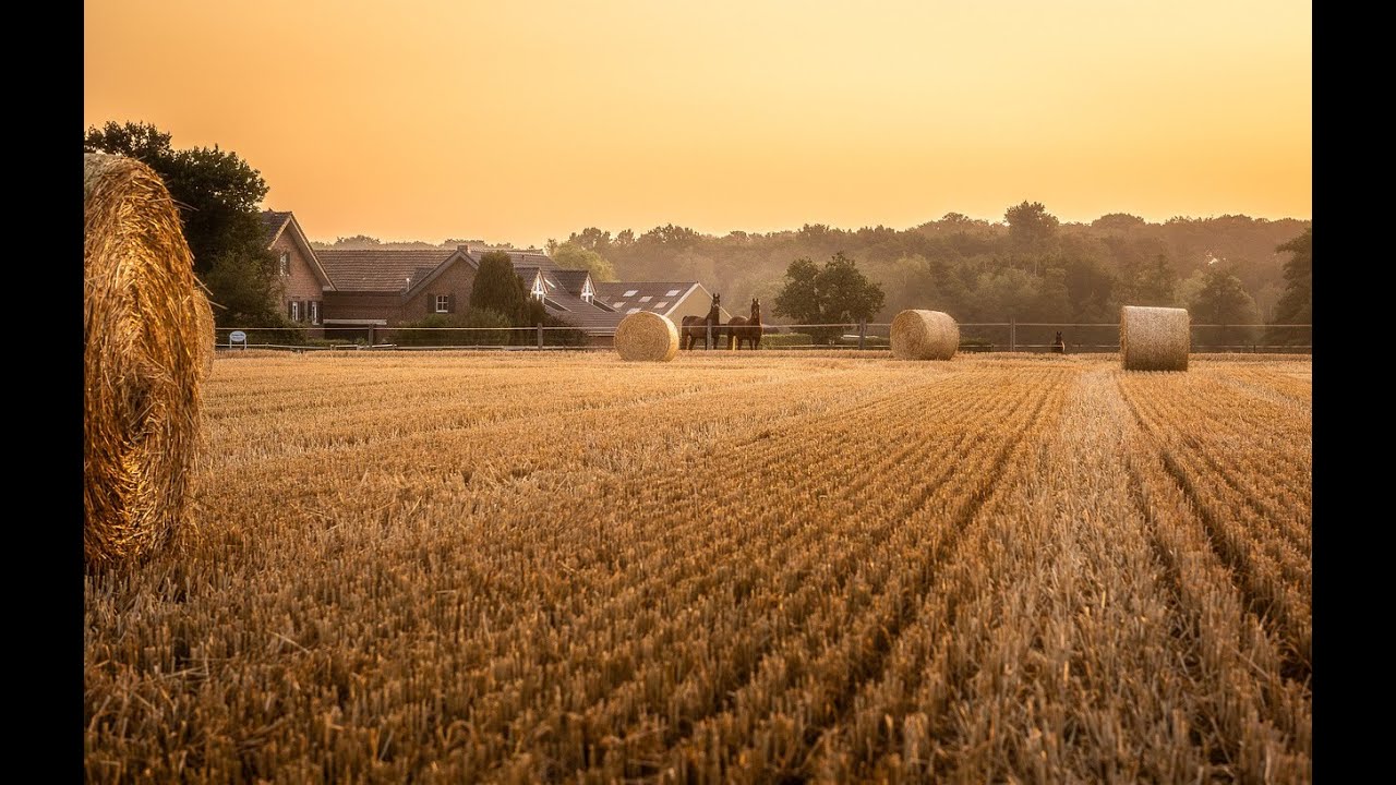 Welcome to our Harvest Festival Service led by Deacon Debbie Marsh ...