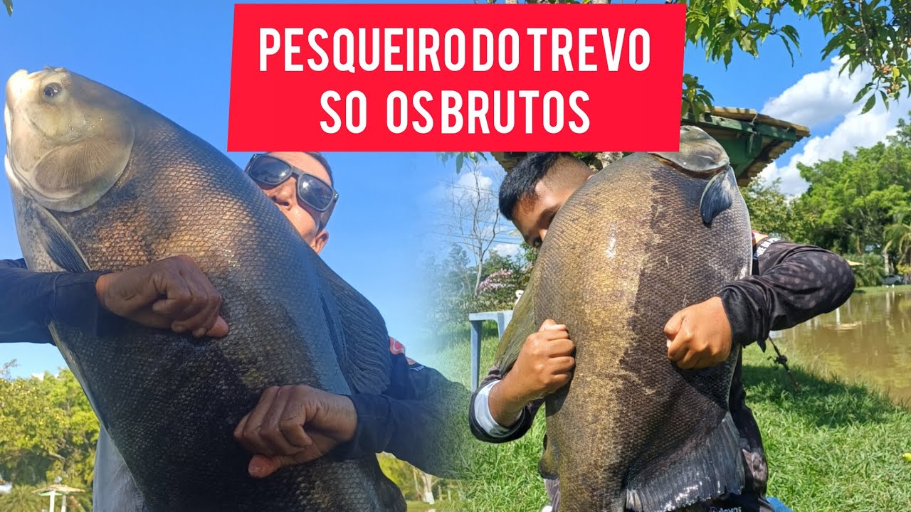 18 de fevereiro de 2025 - YouTube