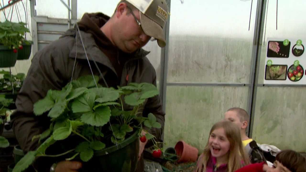 Food from the Farm (MU Extension) - YouTube