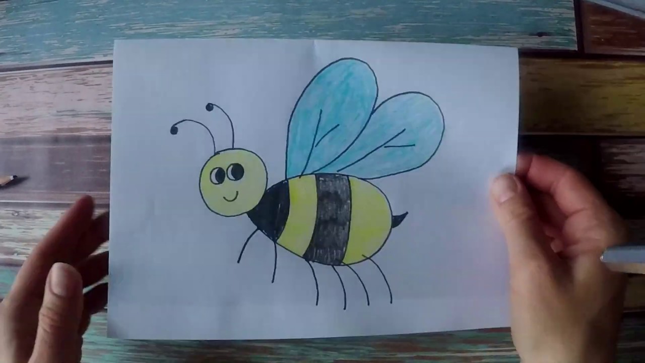 Kako da nacrtam? | Pčela | s01e10 - YouTube