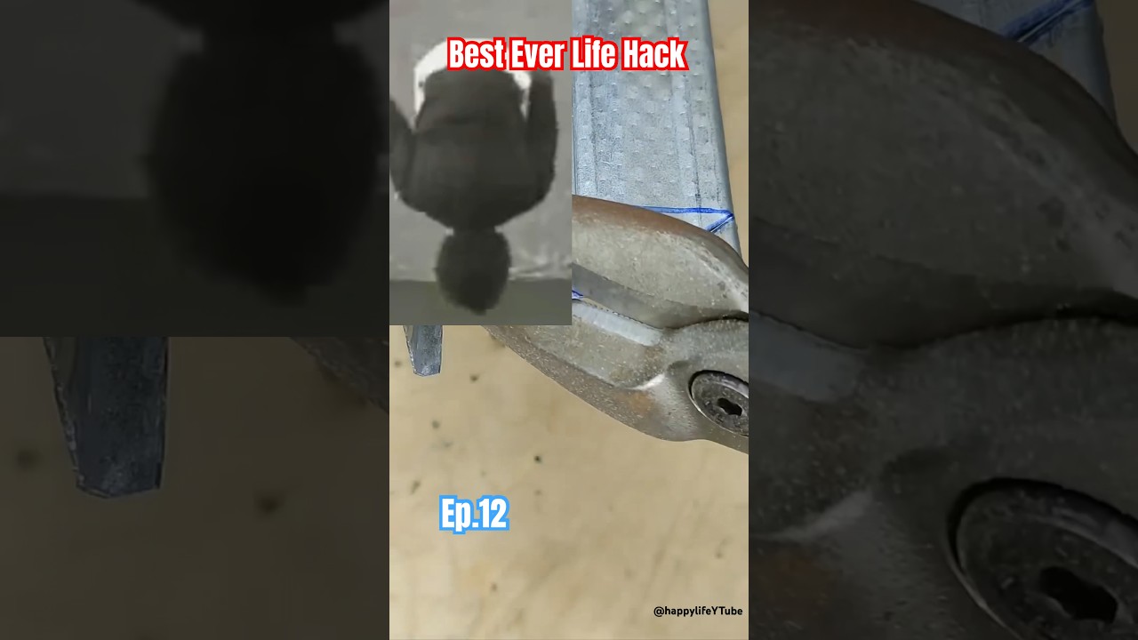 Best Ever Life Hack, You Never Seen Before 12 #short #funny #meme # ...