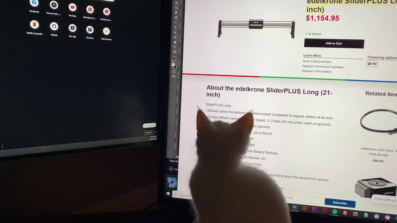 Kitten Chasing Cursor on Computer Screen - YouTube