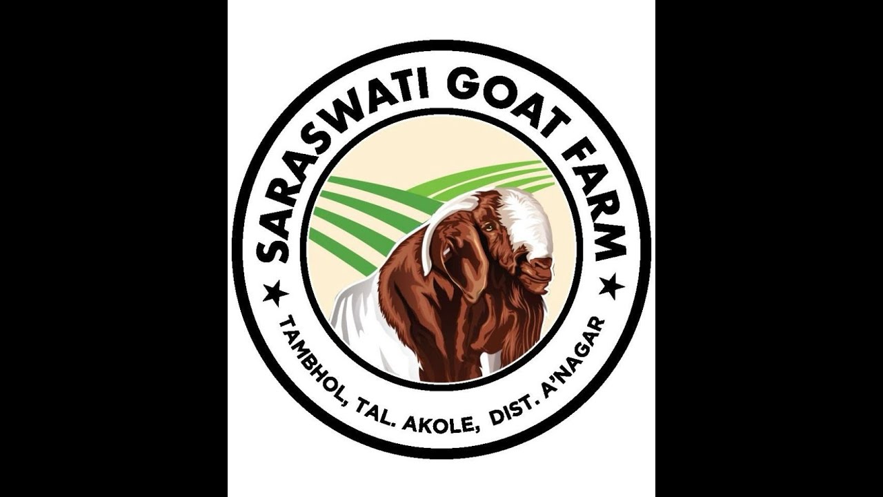 Advance Goat Farming - South Africa Boer Goat - YouTube