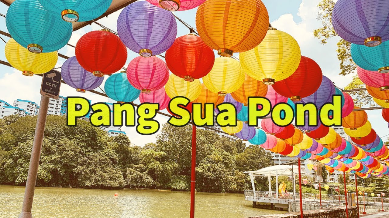 Walking Tour: Pang Sua Pond Park, Singapore || by: Stanlig Films - YouTube