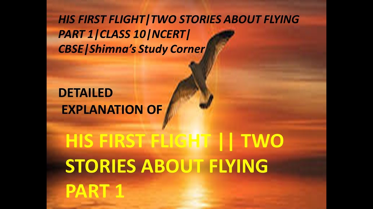 HIS FIRST FLIGHT|TWO STORIES ABOUT FLYING PT 1|CLASS 10| DETAILED ...
