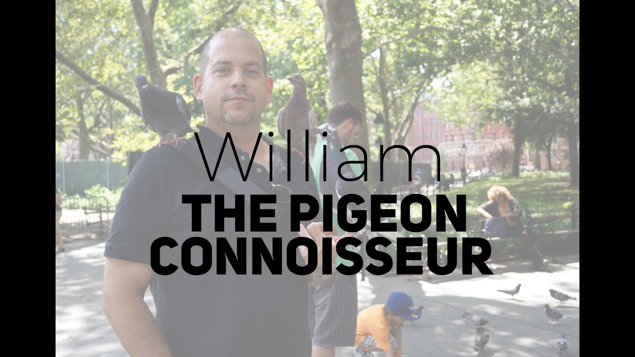 William: The Pigeon Connoisseur - YouTube