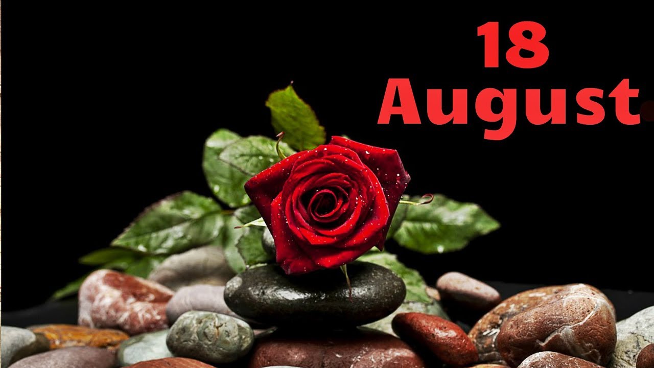 Happy Anniversary 18 aug| Wedding Anniversary Wishes/Greetings/Quotes ...