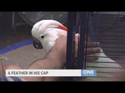 Saving abused birds helped this Grand Rapids man tackle his own trauma ...
