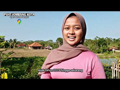 pijat urut dan urat di Jombang ll datang dan buktikan