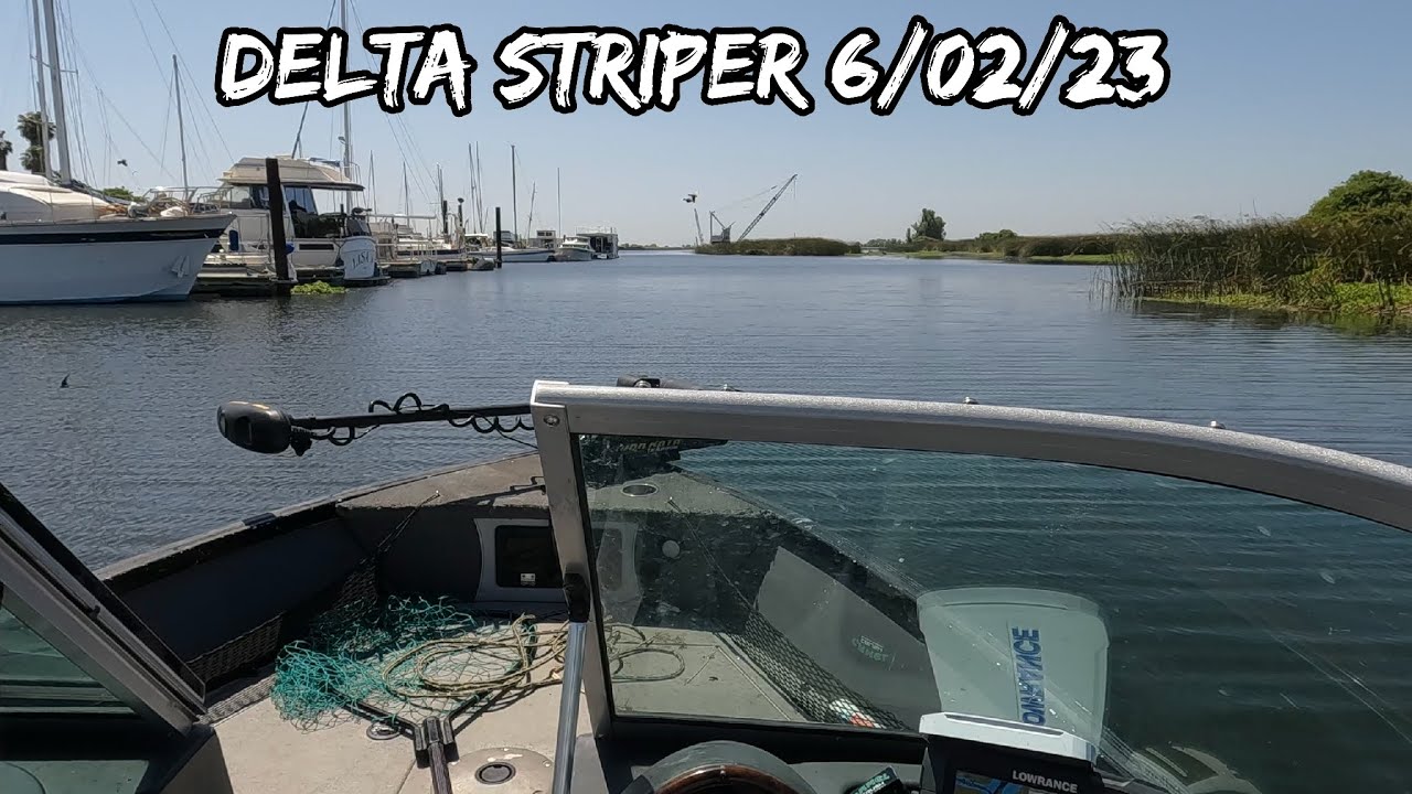 Delta Striper 6/02/23 - YouTube