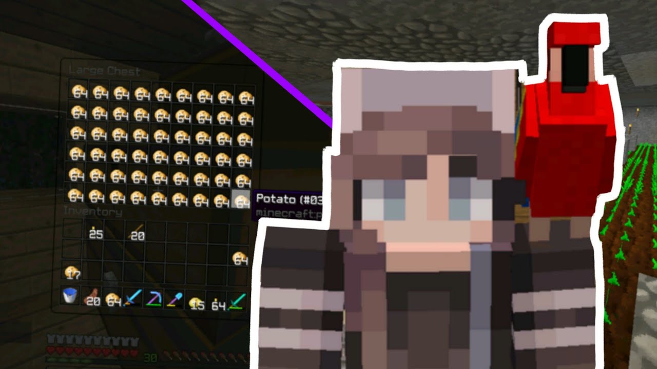 Minecraft: How To Become The Best Potato Farmer Ever! | Skycade SMP - YouTube