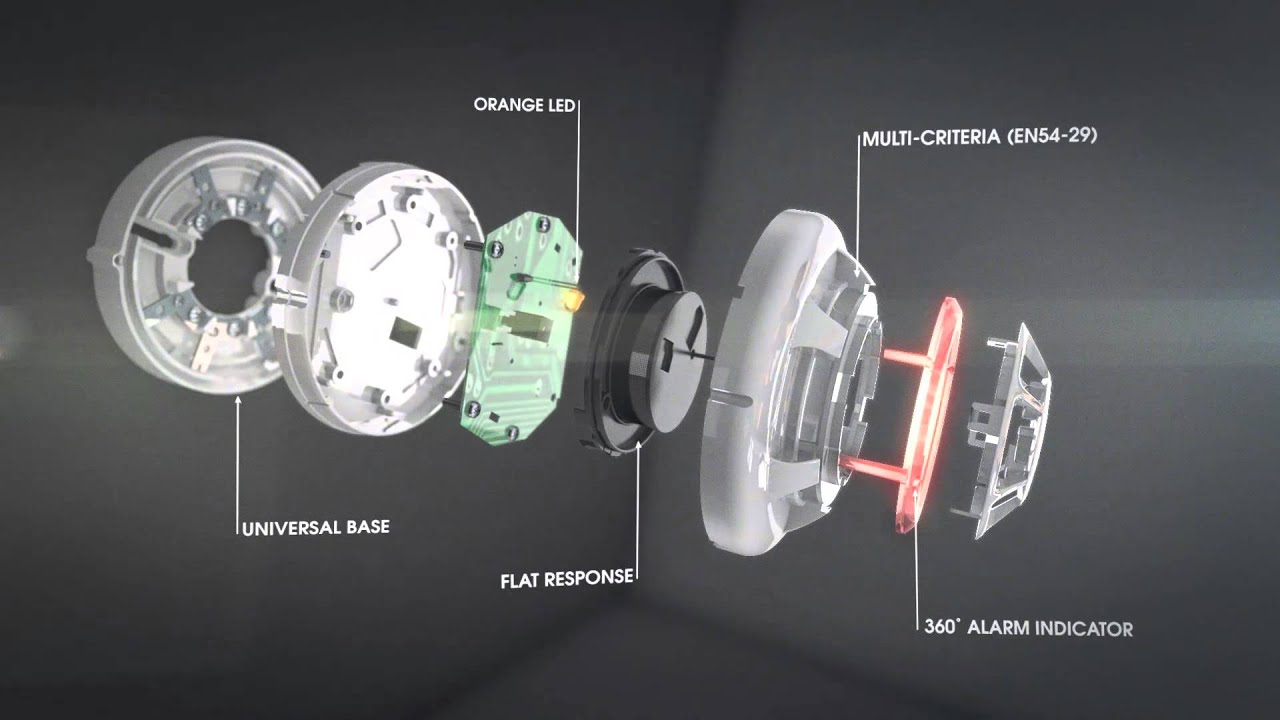 LET US INTRODUCE A MULTI-TALENTED LIFEGUARD: - YouTube