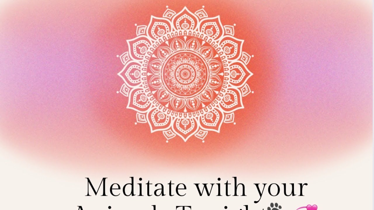 Free Live Meditation Tonight 🌼🕉️🌟💜 - YouTube
