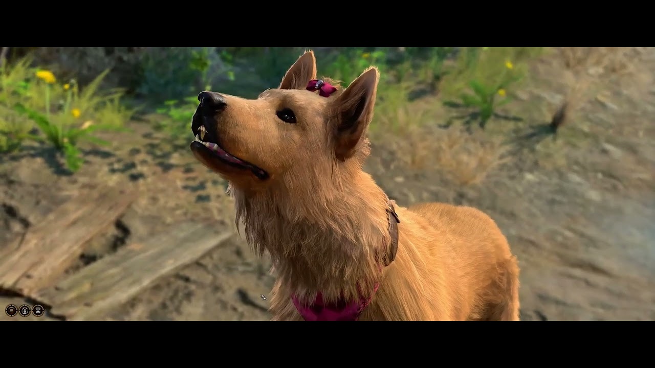 Biscotti is a good dog | Baldur's Gate 3 - YouTube