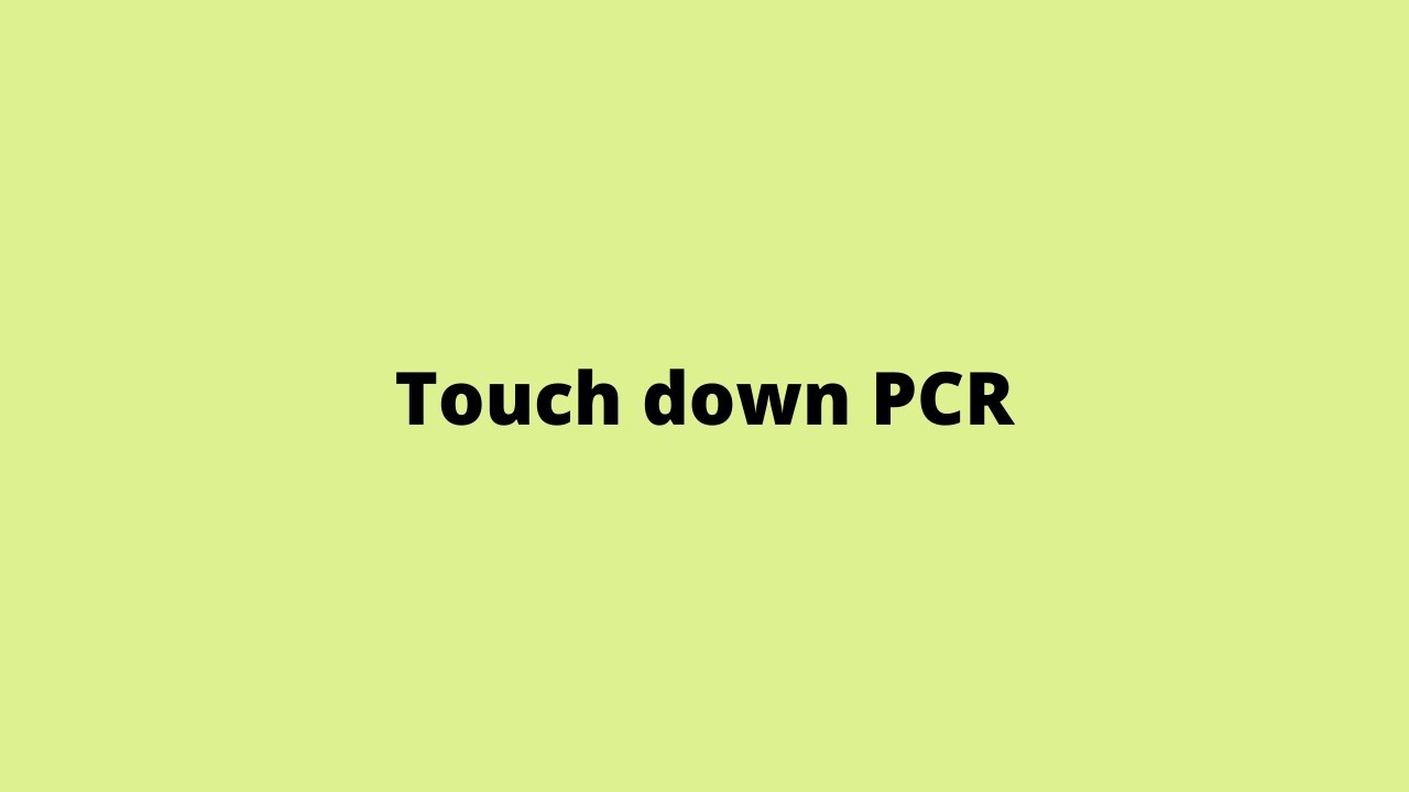 Touchdown pcr; PCR/ genetic engineering/ molecular biology - YouTube