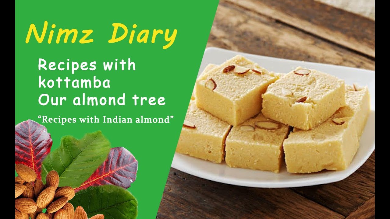 Recipes with kottamba🥰🥰🙈Our almond tree😀 - YouTube