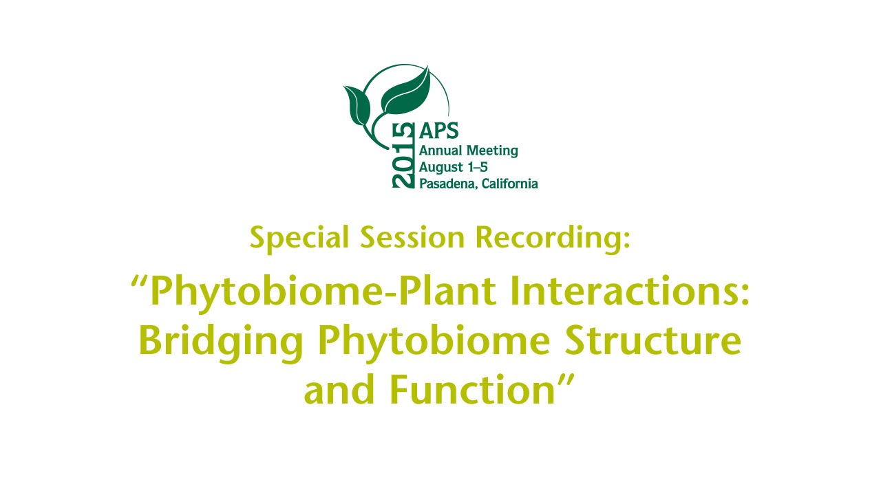 Phytobiome-Plant Interactions: Bridging Phytobiome Structure and ...