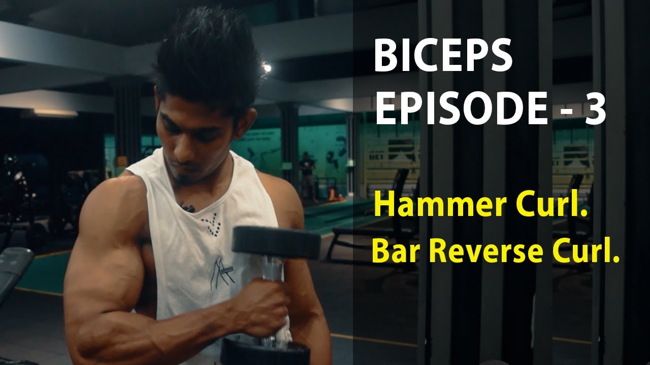 These 2 Isolate exercises will help your Biceps - Brachialis Muscle ...