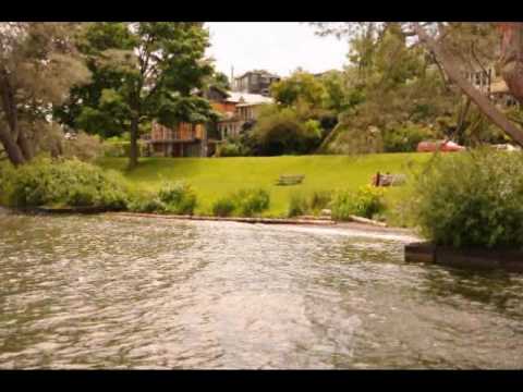 Madrona Park Seattle - YouTube