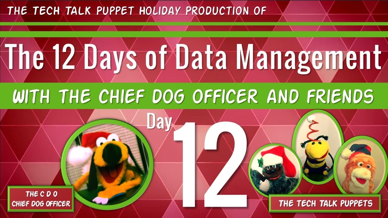 THE 12 DAYS OF DATA MANAGEMENT - Day 12 with The Tech Talk Puppets ...
