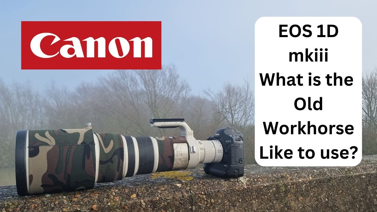 Retro Review - Canon EOS 1D mkiii - What is it like on a cold January ...