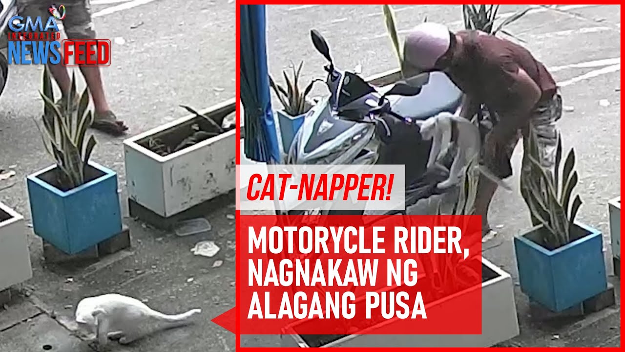 Cat-napper! Motorycle rider, nagnakaw ng alagang pusa | GMA Integrated ...