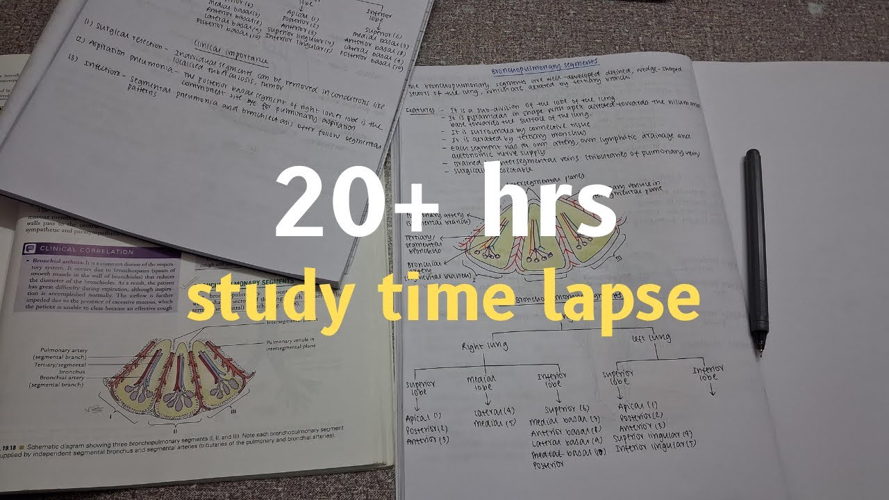 20+ hours study time lapse *motivational* - YouTube