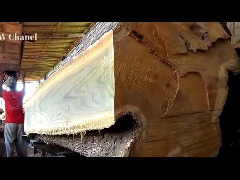 Tanpa Basa-basi monster kayu jati usia 45Tahun ini ditukar dengan mobil baru dan dunia siap borong