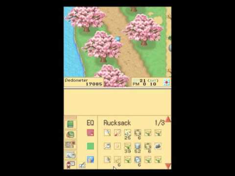 Let's Play Harvest Moon DS Part 10 - The fishing rod - YouTube