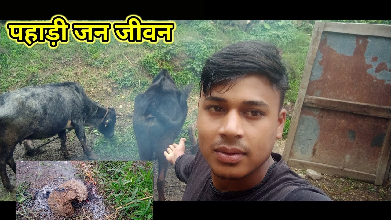 पहाड़ो में ये काम भी बहुत जरूरी है ll Amit Singh Rawat vlogs ll pahadi life style vlogs ll - YouTube