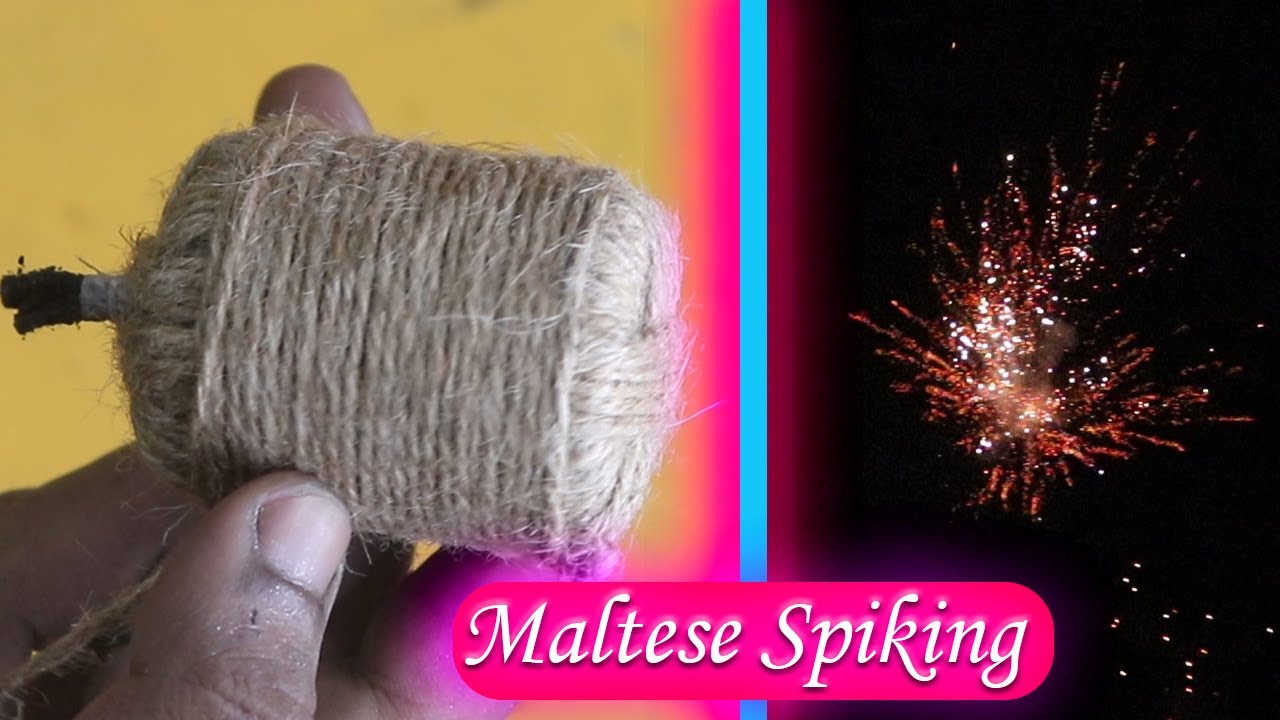 Maltese Spiking Tutorial | How To Spike A Shell - YouTube