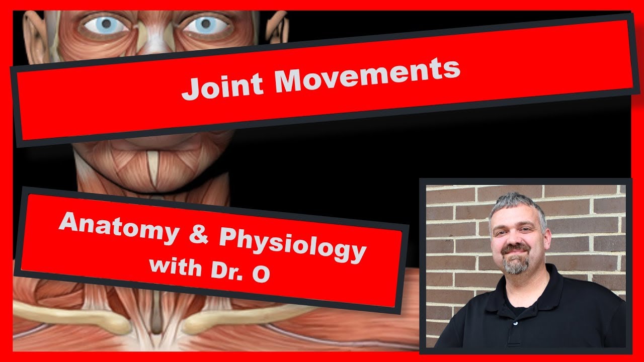 Joint Movements: Anatomy and Physiology - YouTube