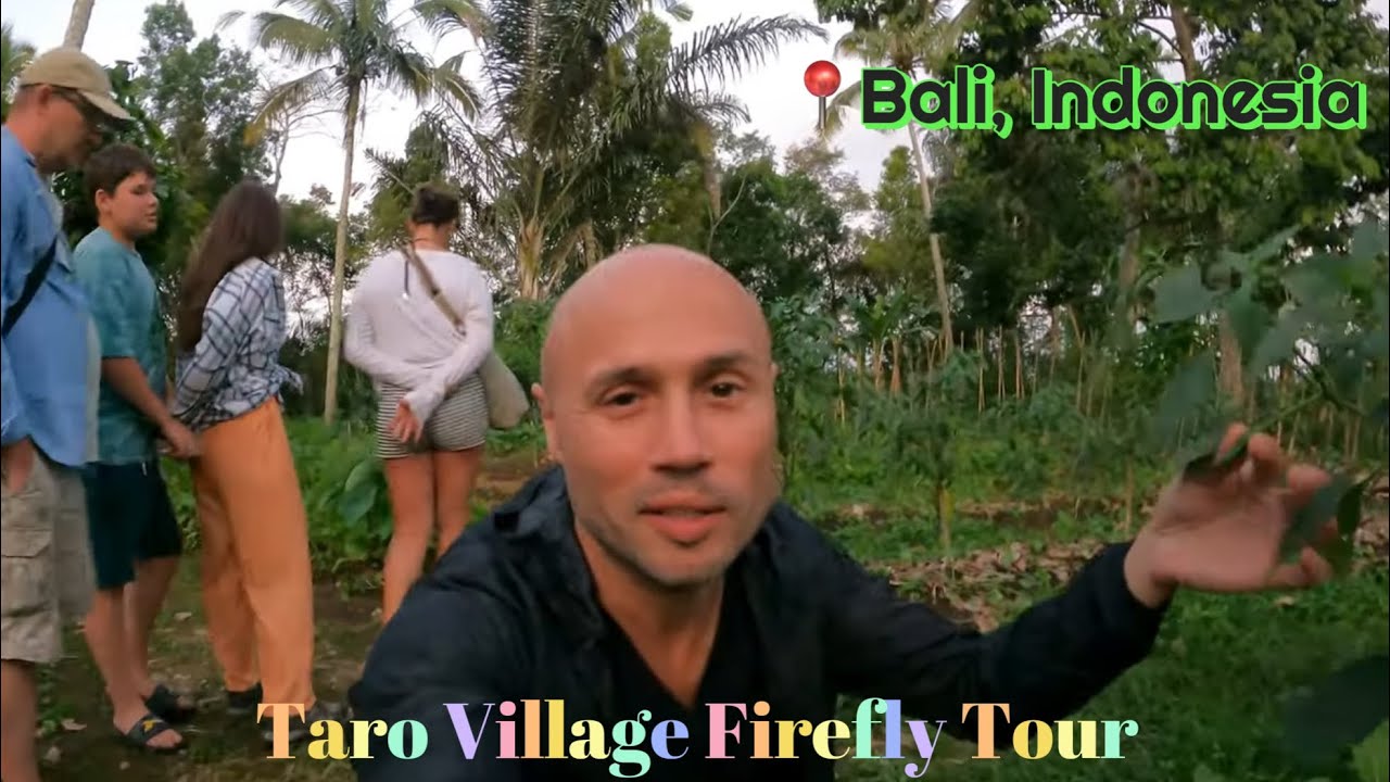 🇮🇩BALI: Firefly Tour Taro Village, Exploring a Family Compound ...