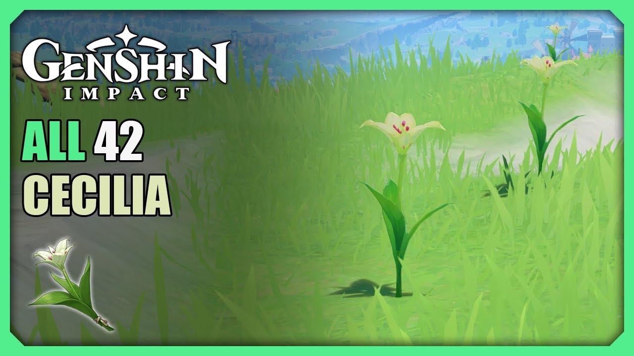 ALL 42 Cecilia Locations | Efficient Farming Route | Genshin Impact ...